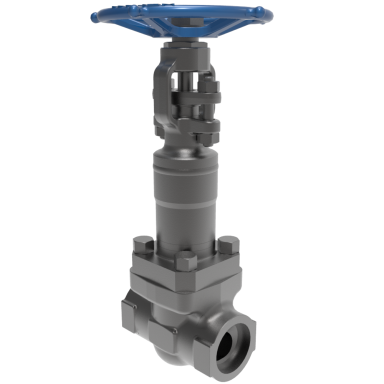 API 602 Bellows Seal Globe Valve | Velan